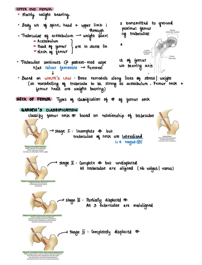 Orthopedics Pure - Notespaedia