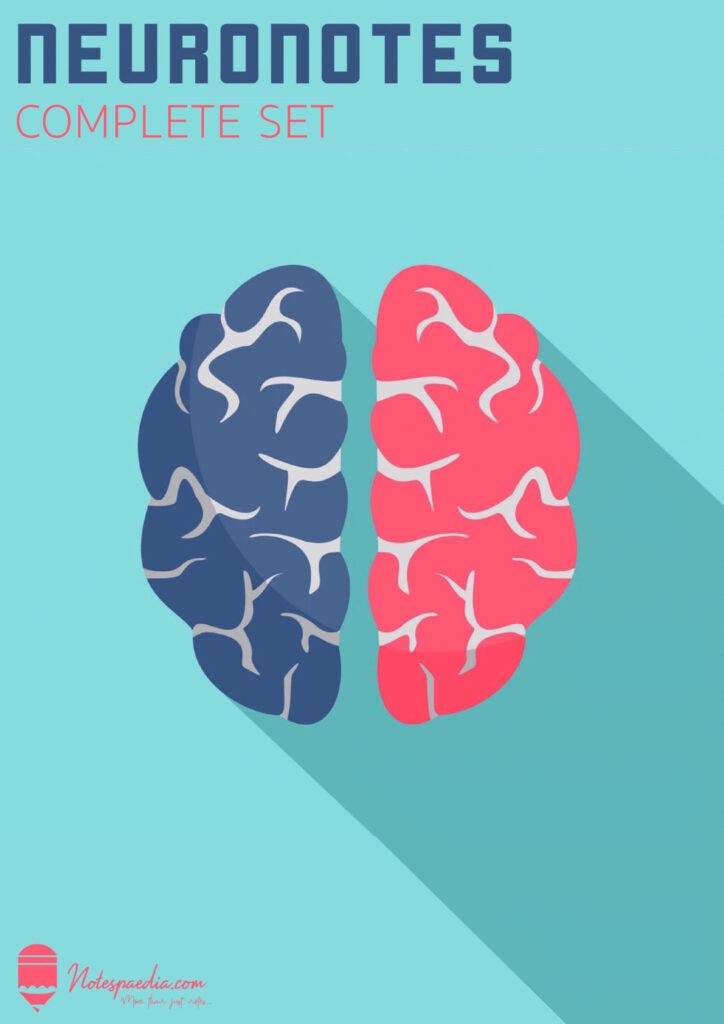 Neuronotes - Notespaedia