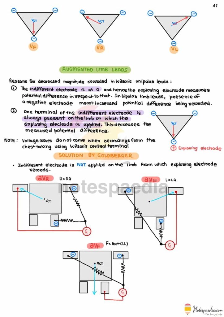 Cardiology Basics - Notespaedia