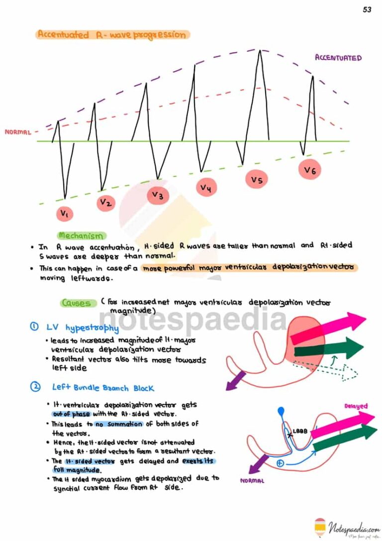 Cardiology Basics - Notespaedia