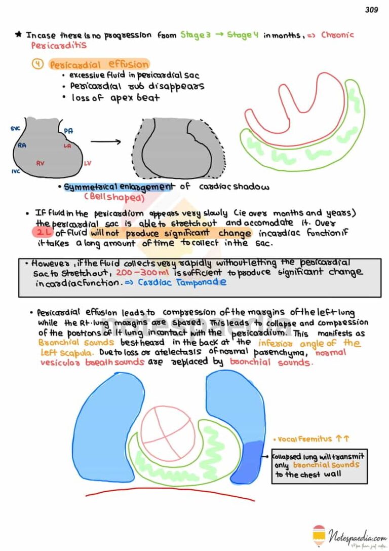 Cardiology Basics - Notespaedia