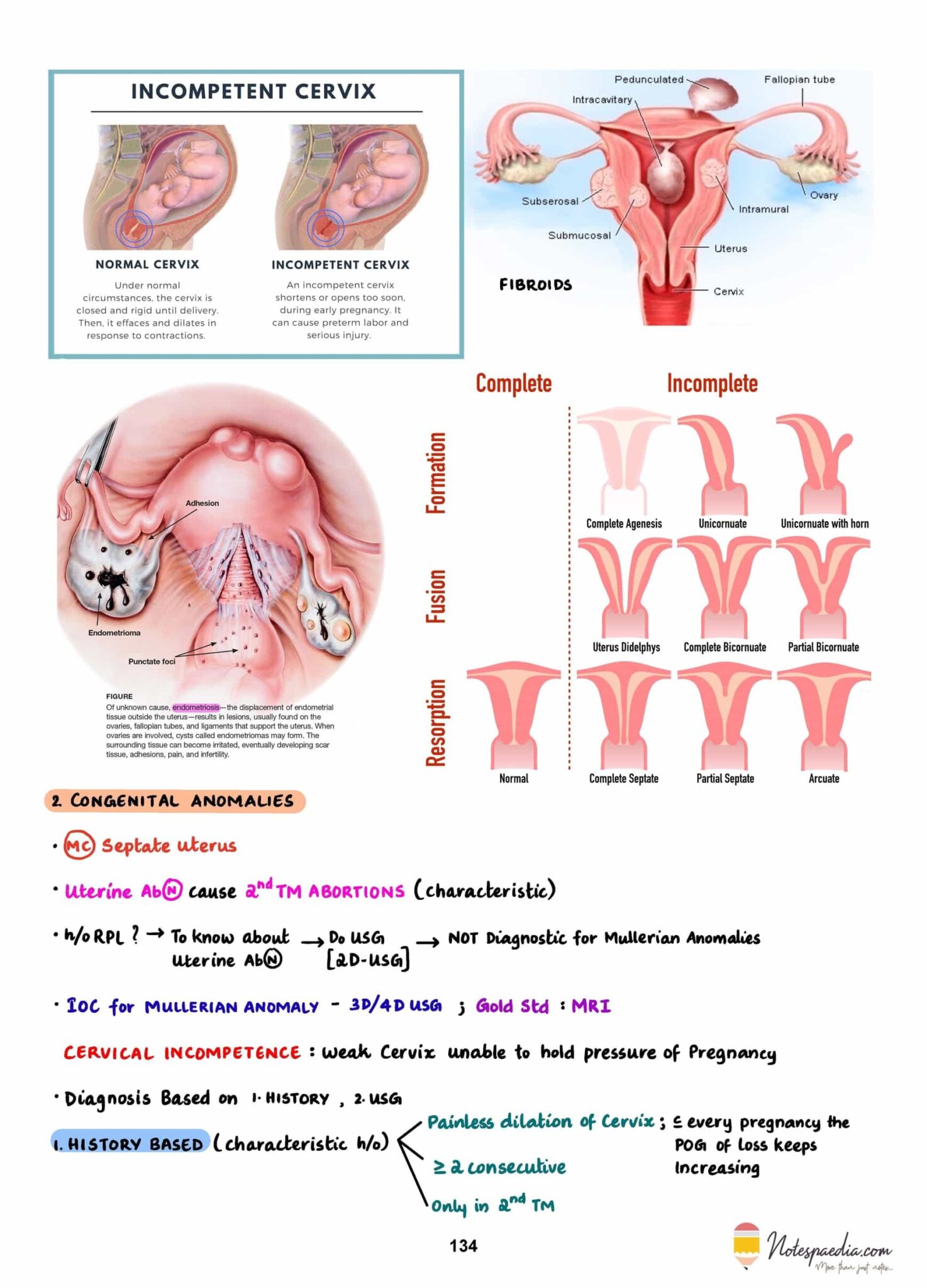 Elite OBS/GYN - Notespaedia