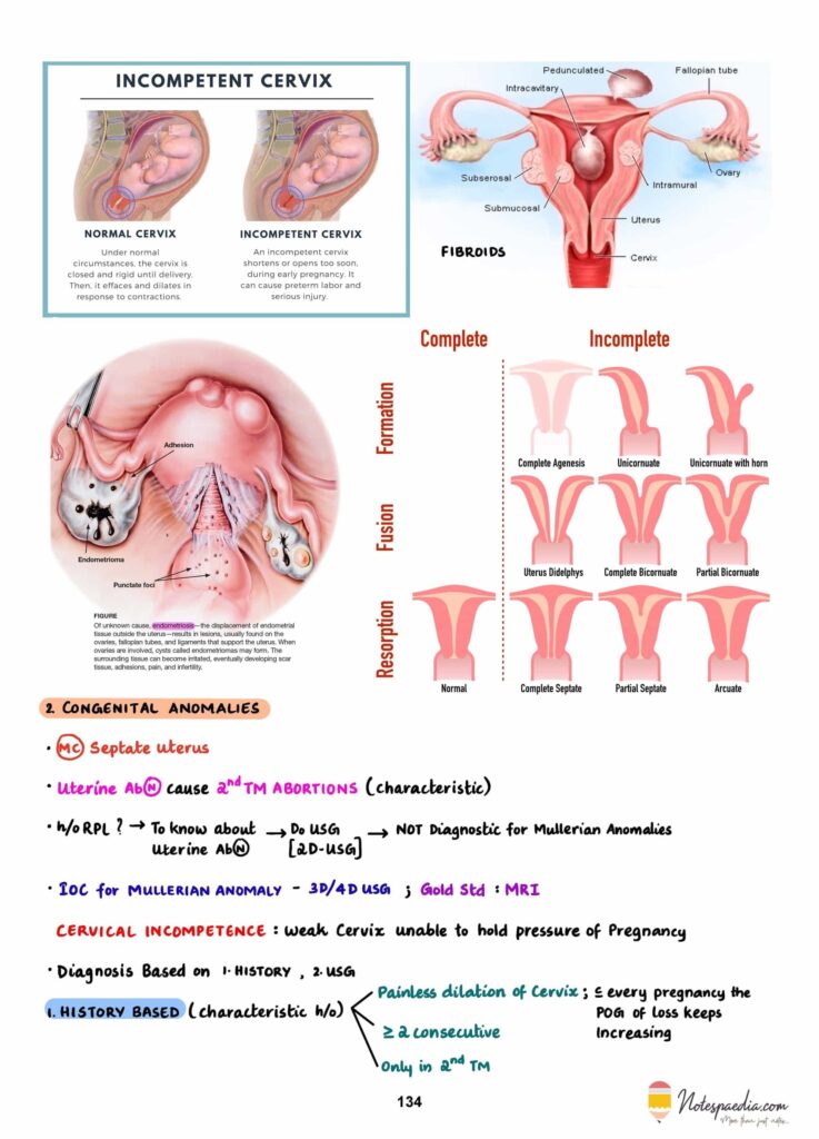Elite OBS/GYN - Notespaedia