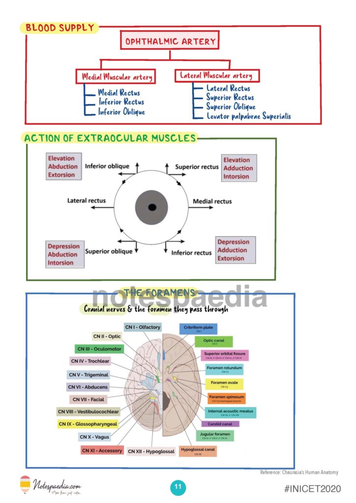 INICET 2020 Question Paper Discussion - Notespaedia