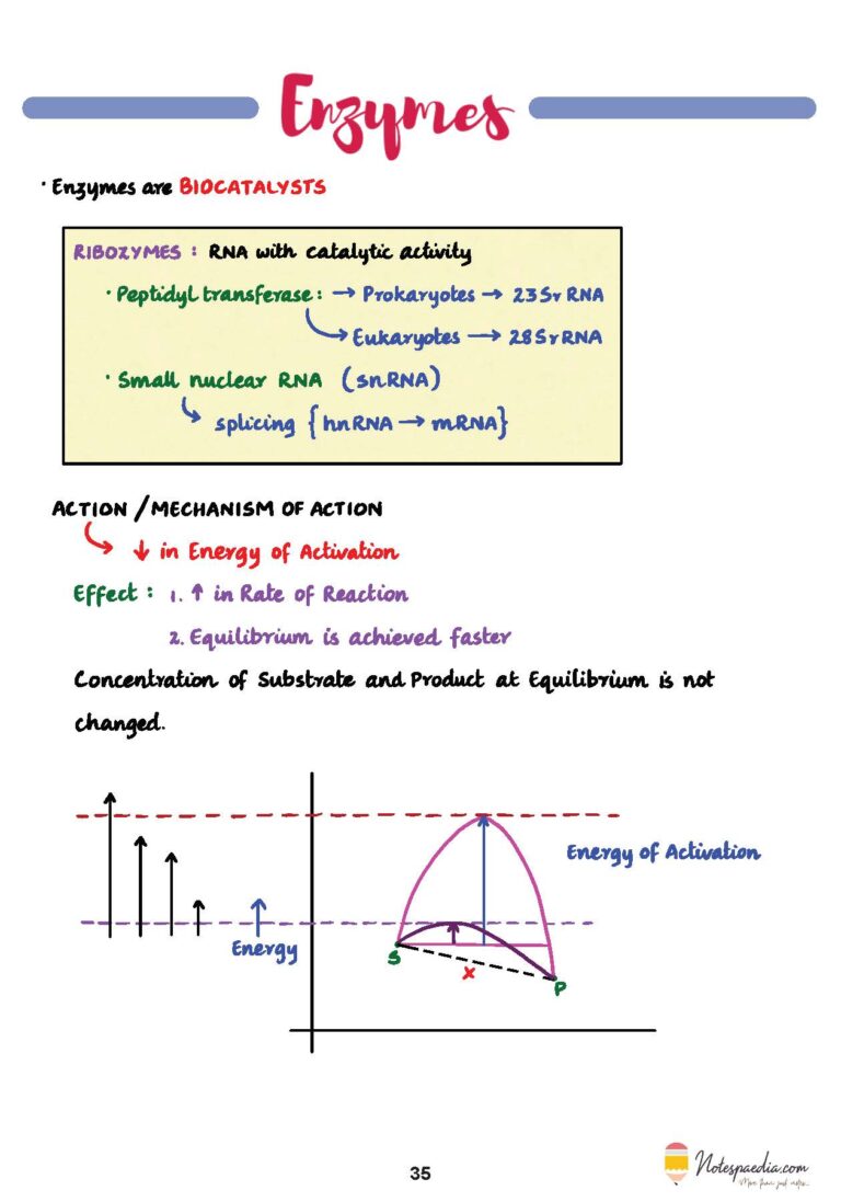 Biochemistry High-Yield – Dr. Nilesh Chandra - Notespaedia