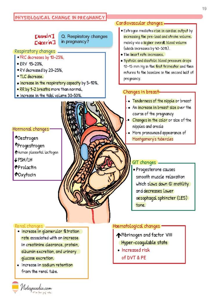 Obs/Gyn Image Bank - Notespaedia
