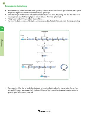 INICET November 2023 Question Paper Discussion - Notespaedia